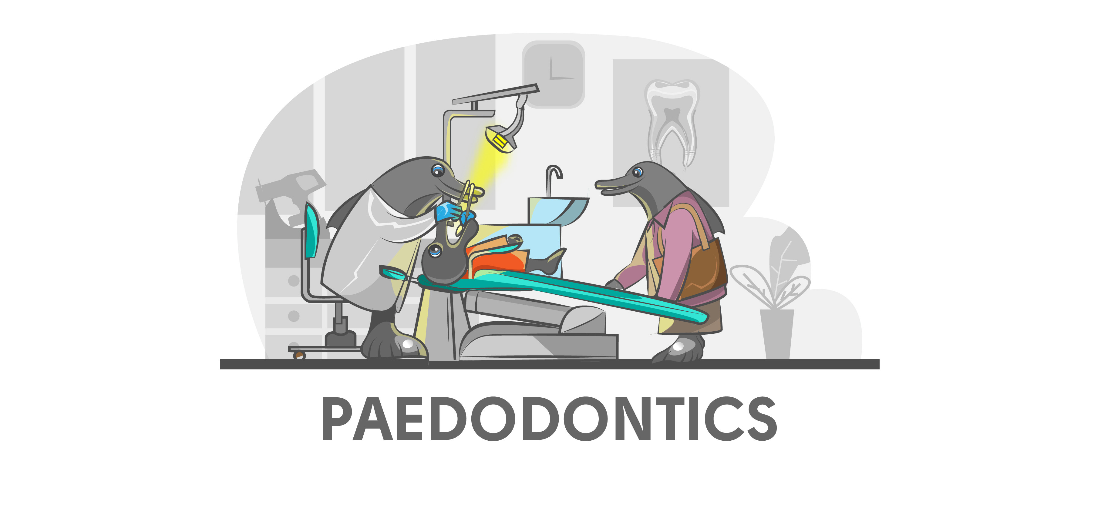 Buy Paedodontics Dental Materials, Instruments, & Accessories Online ...