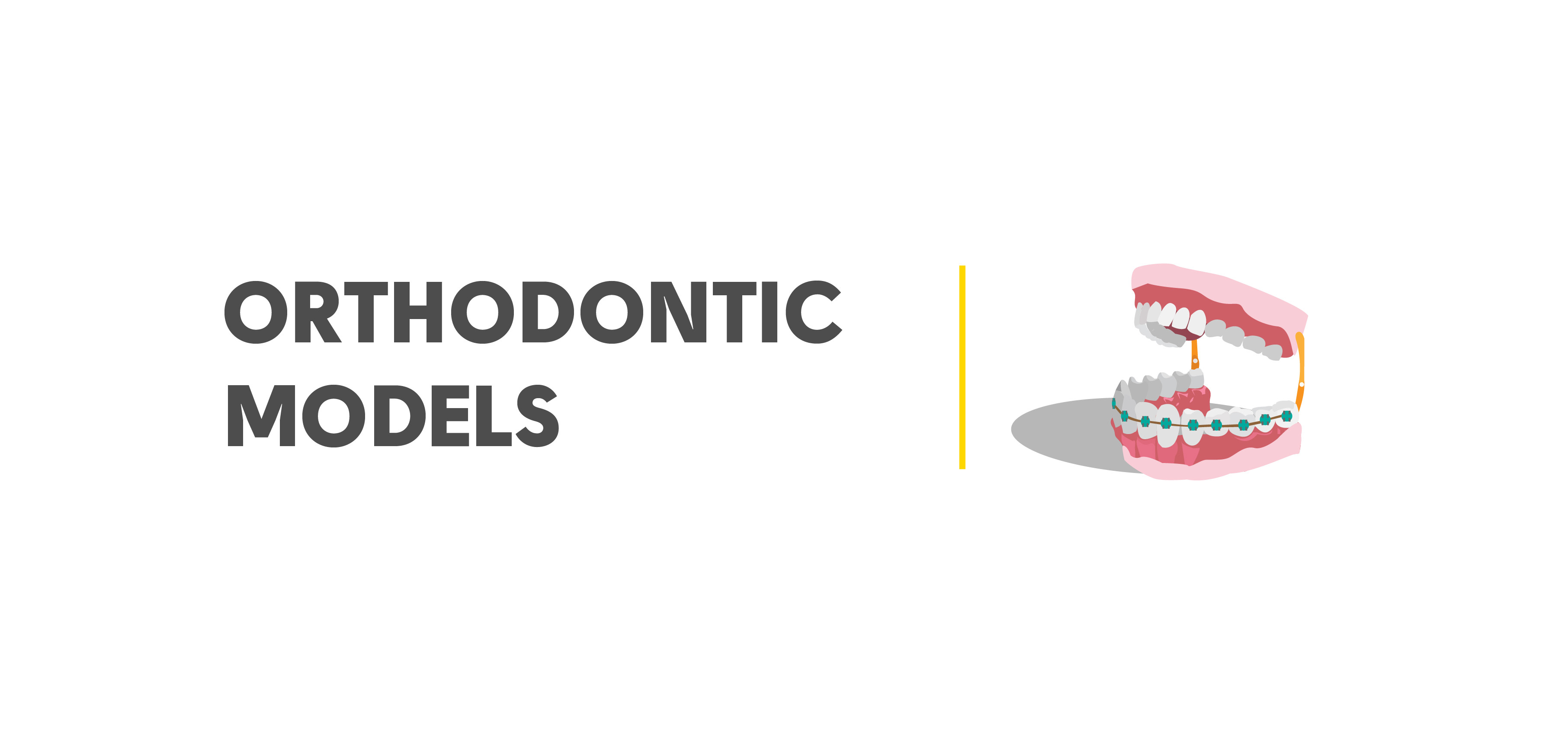 Buy Orthodontic Models Dental Products